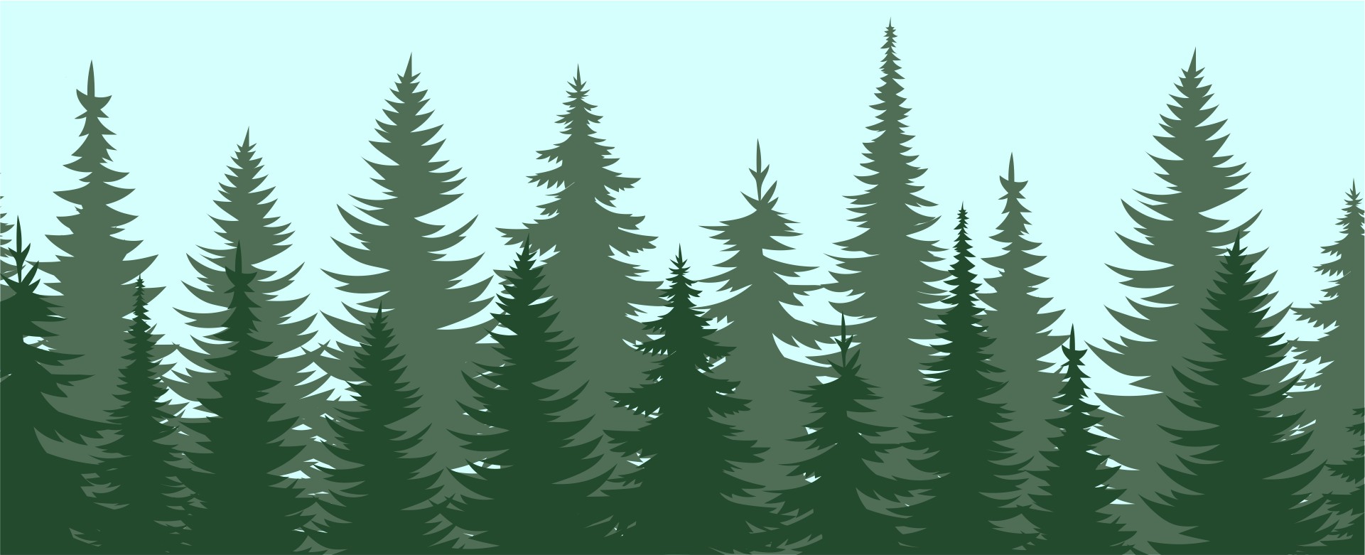 Timber Creek Pediatrics – Best Pediatricians in Orlando, FL. – We aim ...